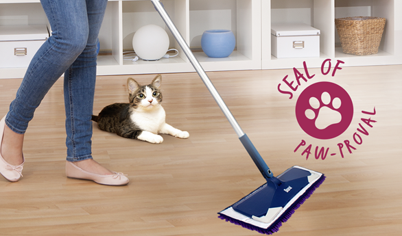 Top Bona Products for Cat Lovers