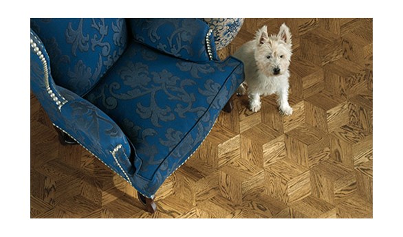 How to Use Bona DriFast Stains | Quick-Drying Floor Stains