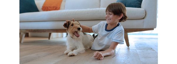 A Guide To A Clean Home With Pets