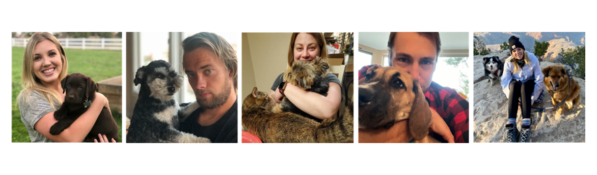 The Bona Pet System | A Floor Cleaner That's Safe for Pets