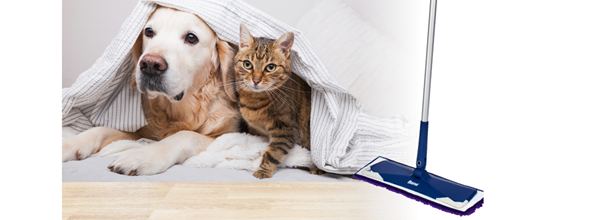 A Guide To A Clean Home With Pets