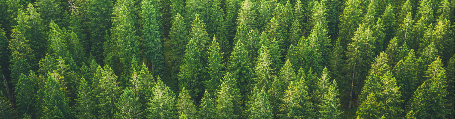 Benefits of Sustainable Hardwood