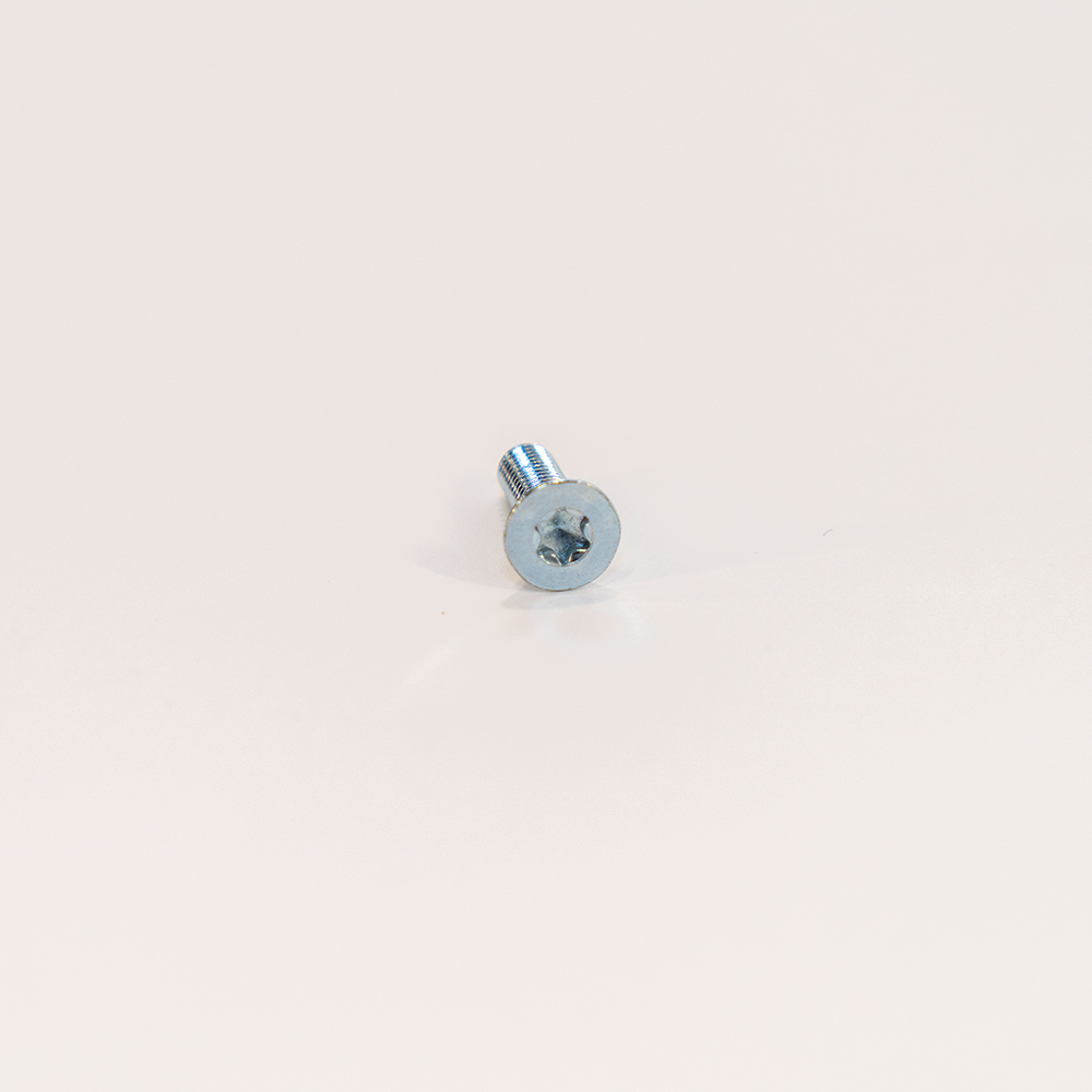 Screw MFT-TORX T30 M6x20 fzb